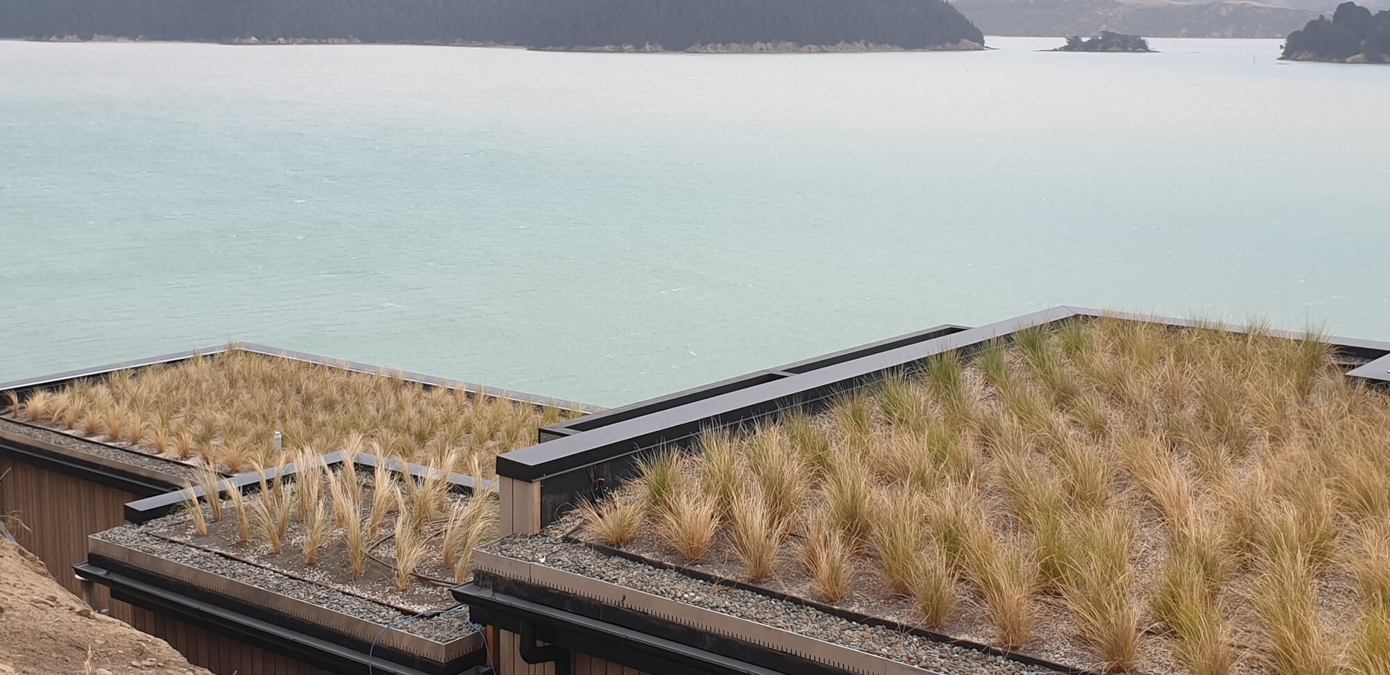 Roof Garden | Green Roofs | Living Roofs | Waterproofing & Roofing Systems